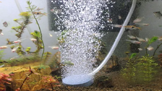 How to Aerating a Fish Aquarium: A Complete Guide for Healthy Fish