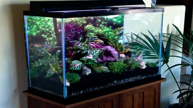 How to Build a Tropical Fish Aquarium: Step-by-Step Guide for Beginners